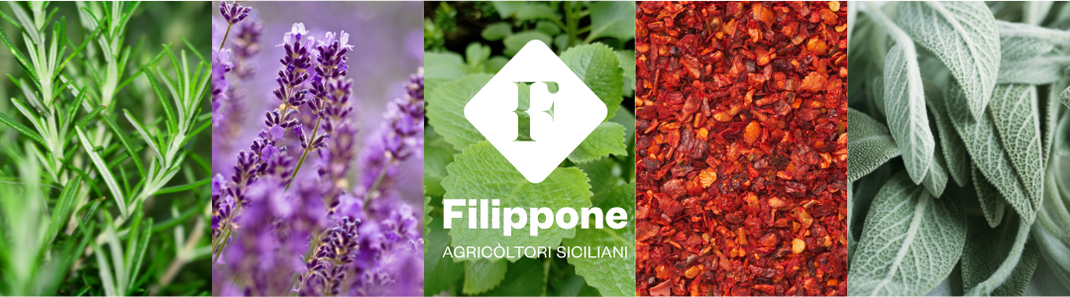 Filippone – Wholesale Italian Food